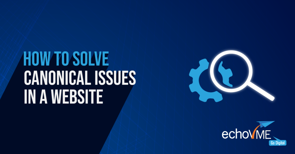 How to Solve Canonical Issues on a Website | echoVME Digital